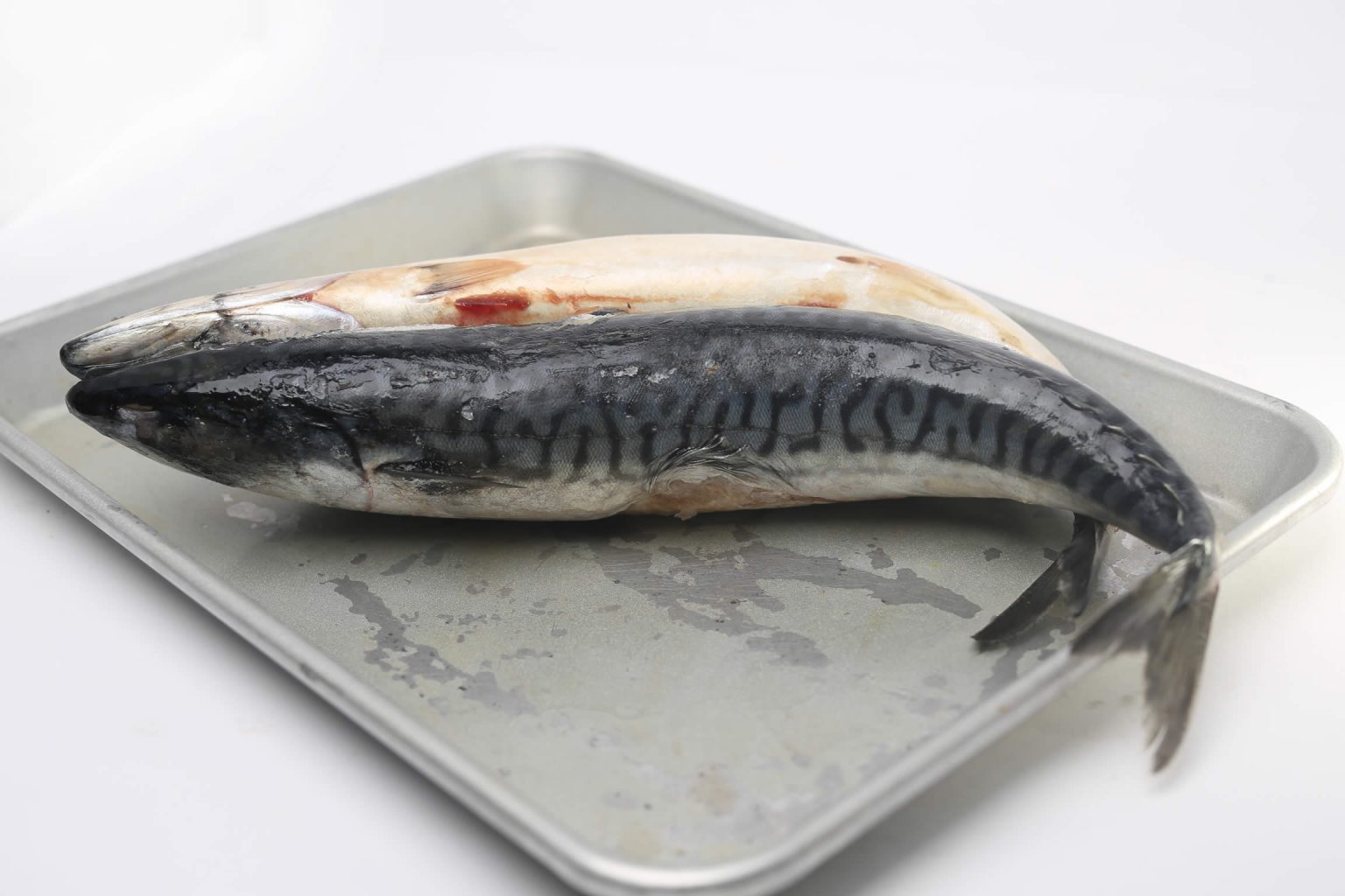 Buy Titus Fish x 1kg Online in Lagos - Vegetal Foods Market